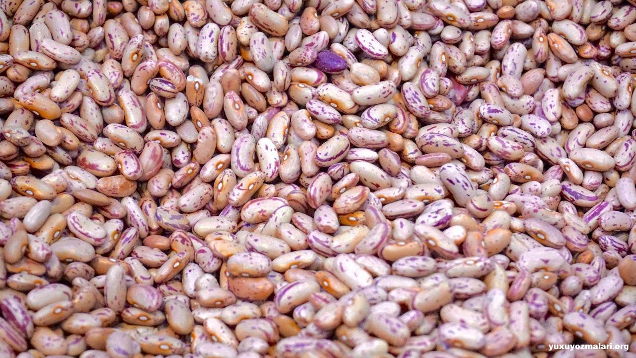 Yuxuda lobya gormek — YuxuYozmalari.org