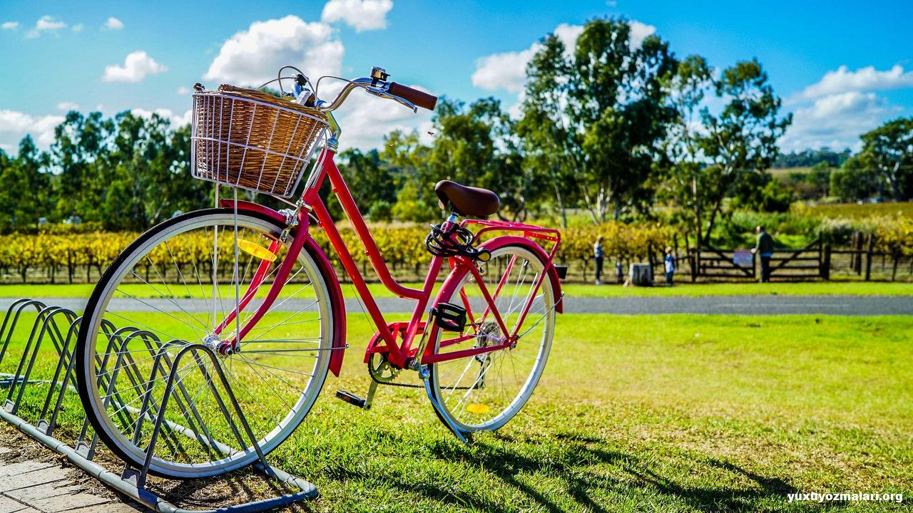 Yuxuda velosiped surmek — YuxuYozmalari.org