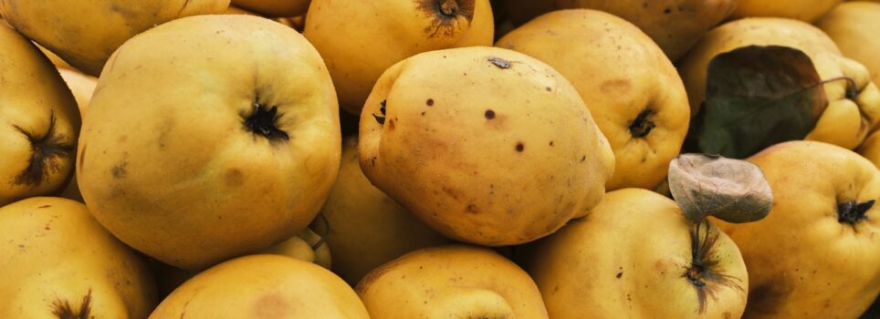 Yuxuda heyva gormek — YuxuYozmalari.org