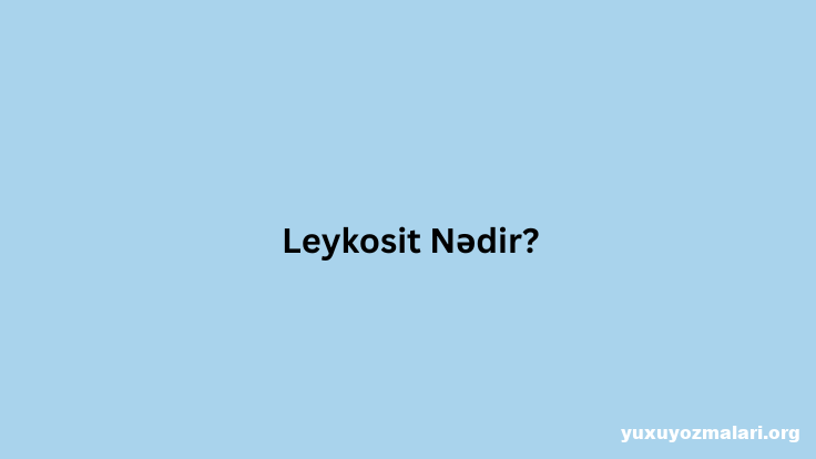 Leykosit nedir? — Leykosit yüksəkliyi nədir?